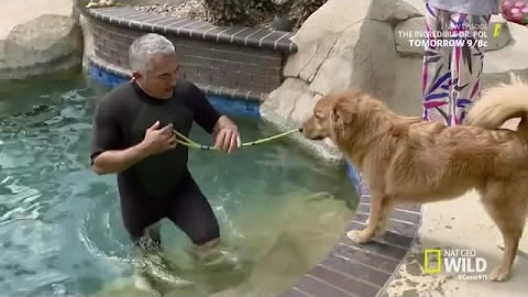 CeFlix | Express yourself!